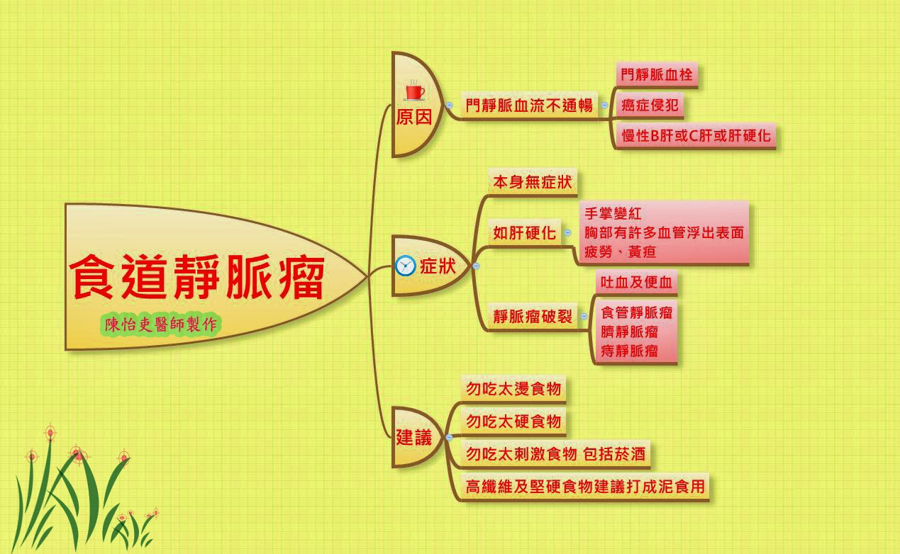 陳怡吏中醫診所 Line Id Ilovefather 食道靜脈瘤 Esophageal Varices