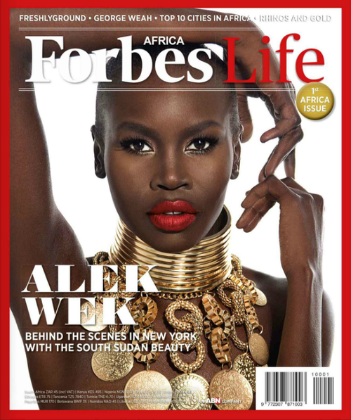 Avec qui Alek Wek est en Couple