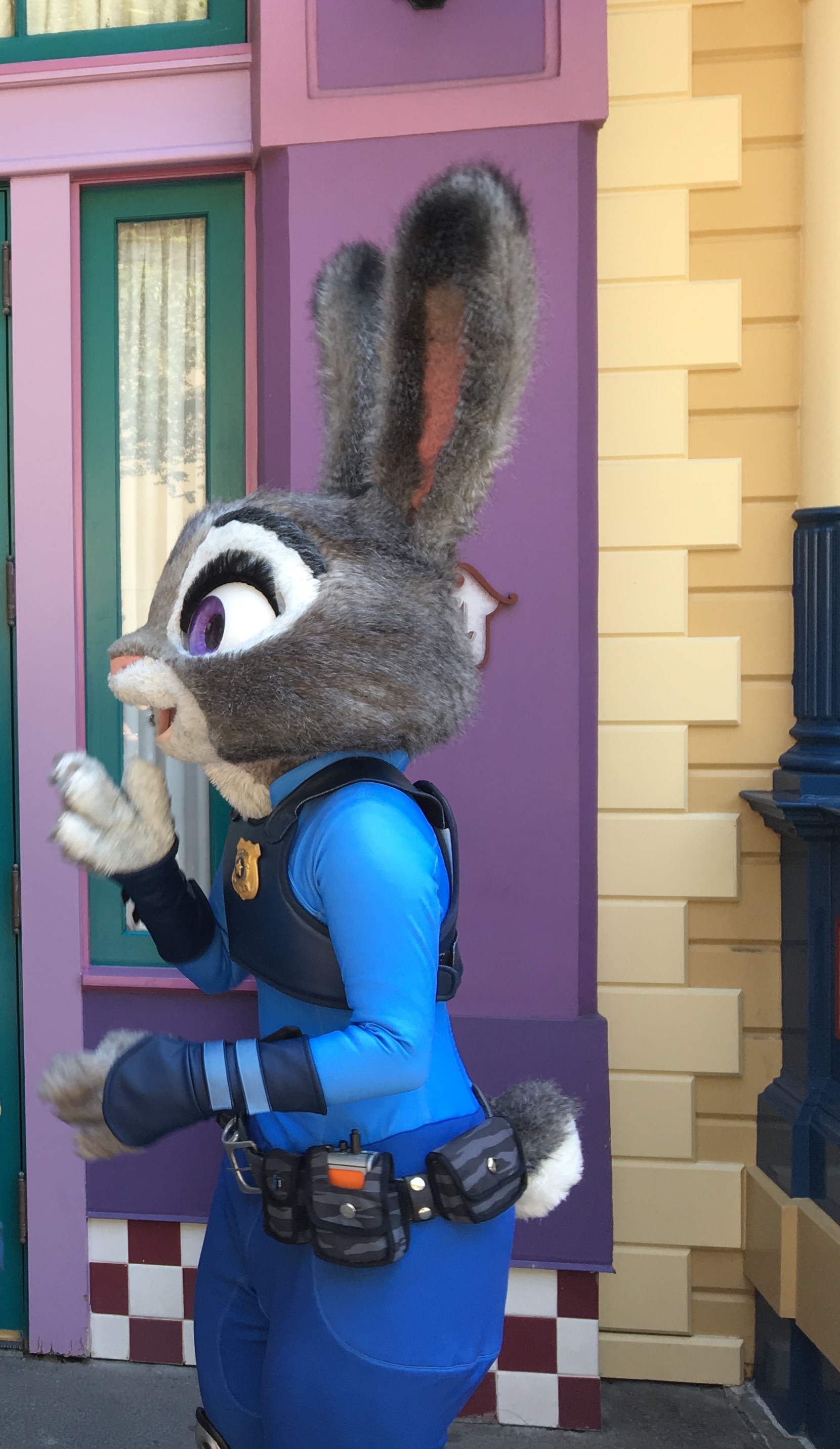 Zootopia 5th Anniversary