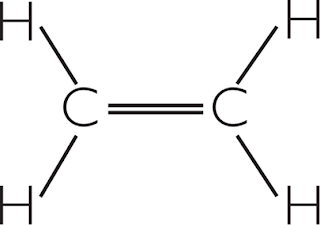 Quimica Organica: Eteno