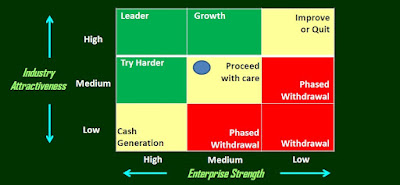 Business Management Lesson: GE Nine-Cell Strategic Model