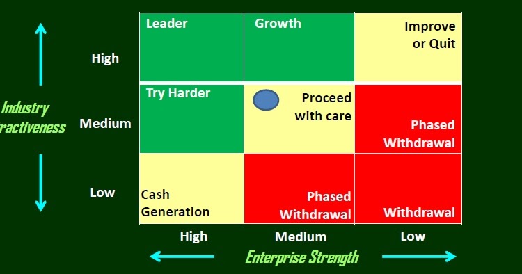 Business Management Lesson: GE Nine-Cell Strategic Model
