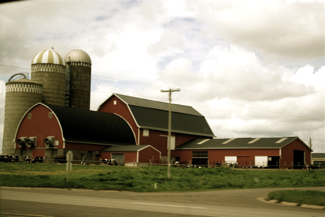 The View Through my Lens: Wisconsin Farms