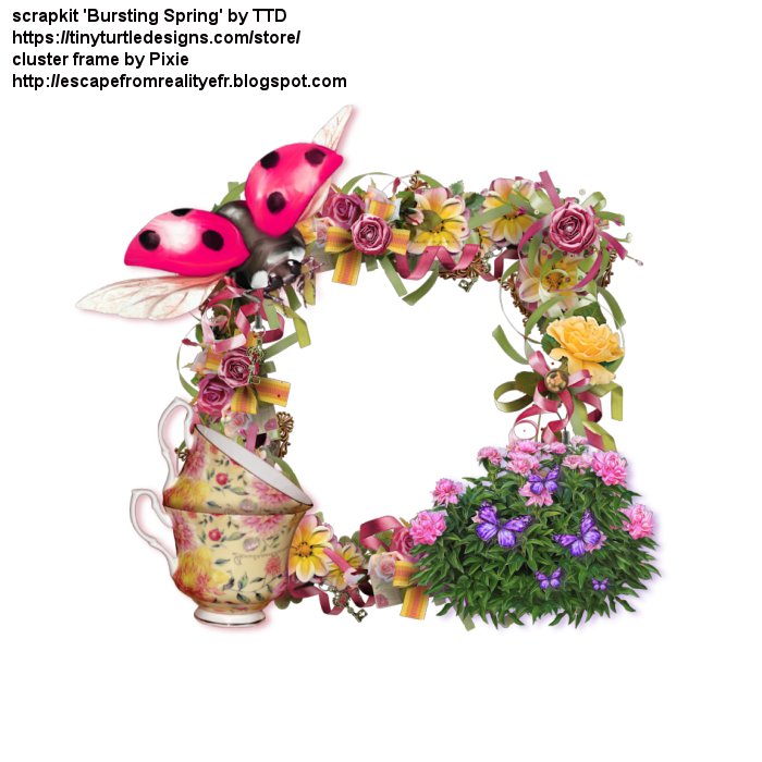 Escape From Reality Blog: FTU 'Bursting Spring' Cluster Frames TTD