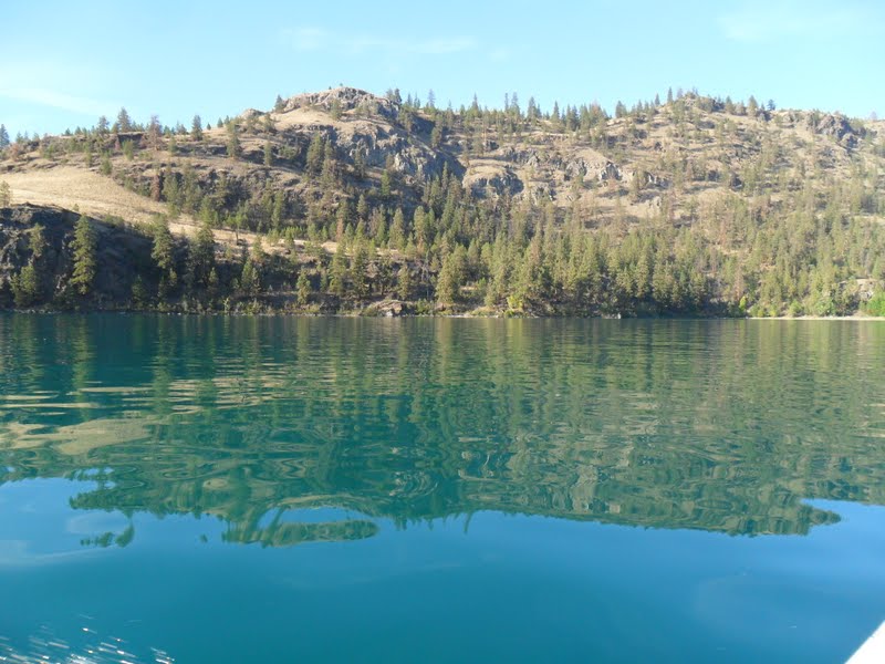 Fawn in BC: Boating - Kal Lake