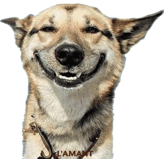 Gifs de risas ja ja ja, gifs reír - Blog de imágenes