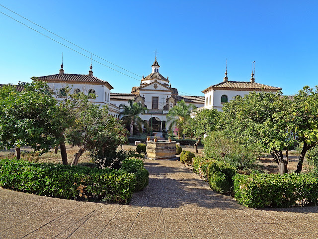 Sevillano Viajero: Montellano