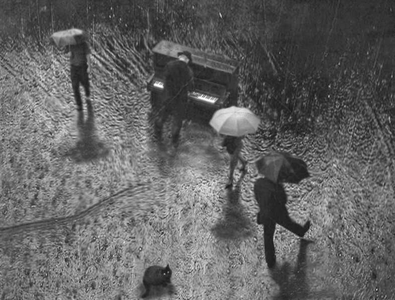 Alex Howitt Photography