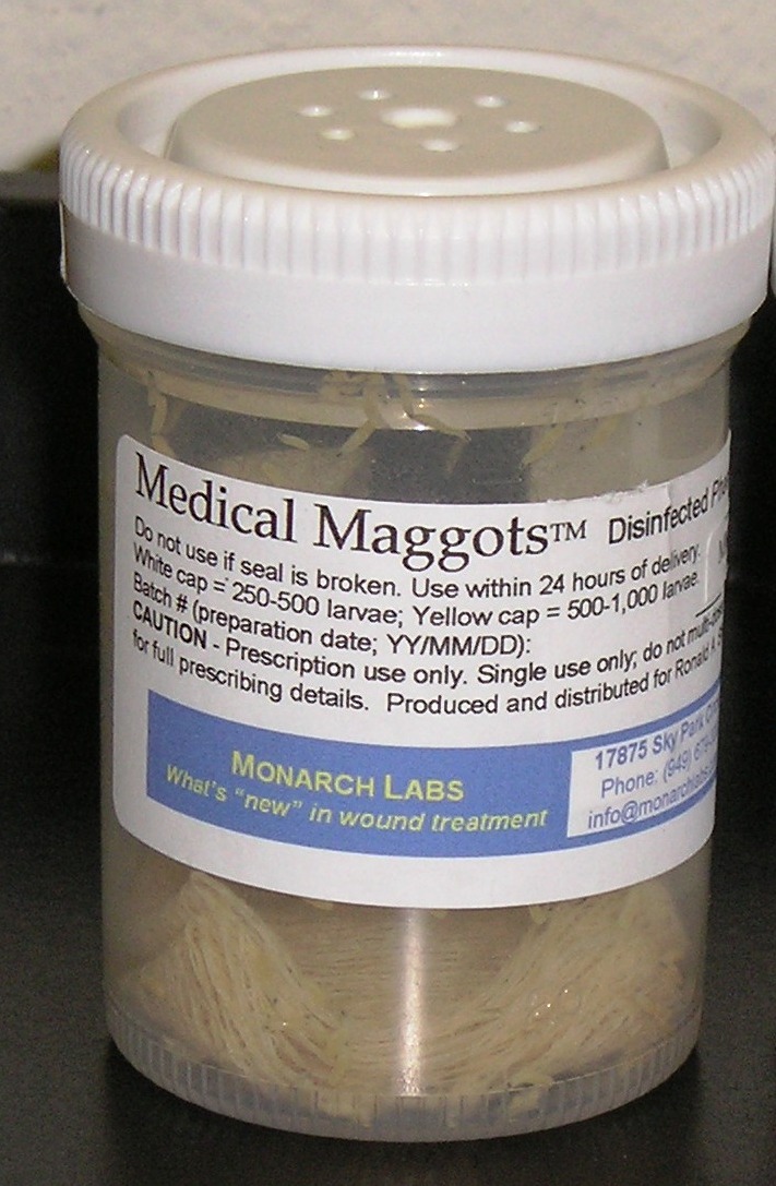 Terrierman's Daily Dose: Medical Maggots: You're Doing It Wrong