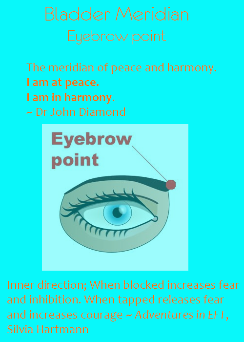 Energy and Intention: The bladder meridian