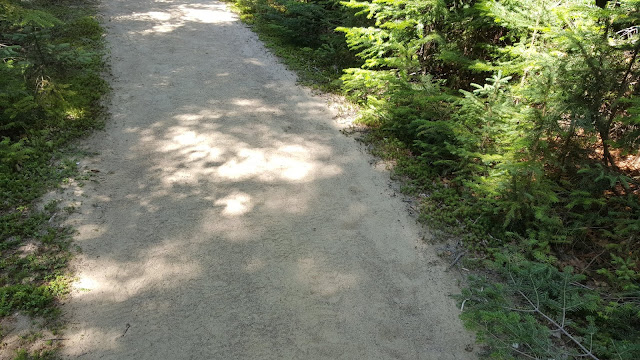 Sentier Scotora pour le mont Andante - Dan en bottines