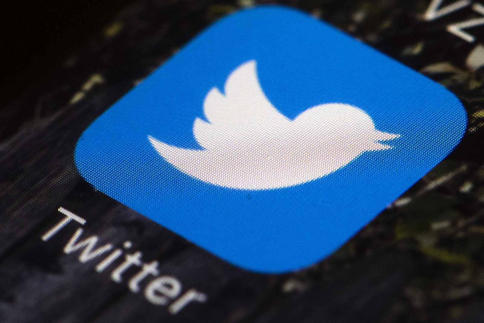There Is No Need For Quality Filter In Search Results, Says Twitter