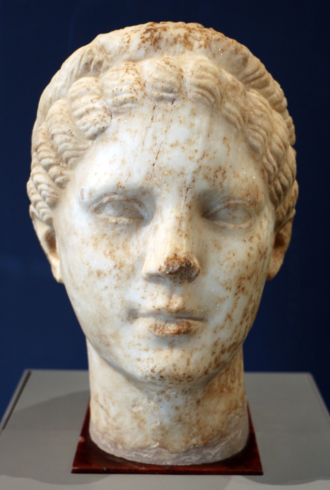 Spencer Alley: Ancient Greek and Roman Portraits