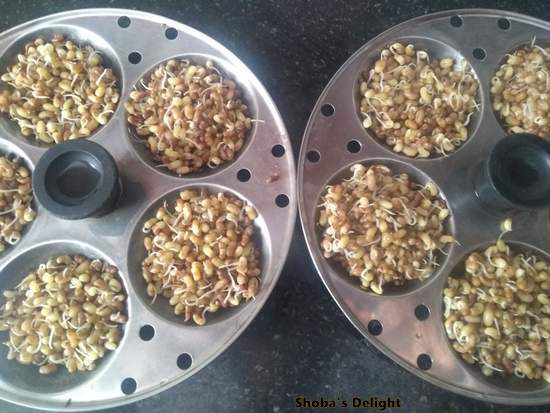 Shoba's Delight: Sprouted Matki or Moth Beans Salad