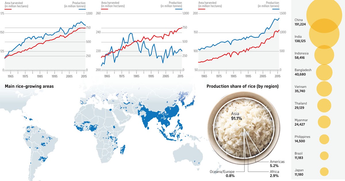 Geography: Rice cultivation and climate change