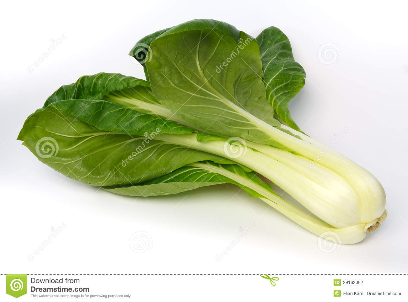 petchay - philippin news collections