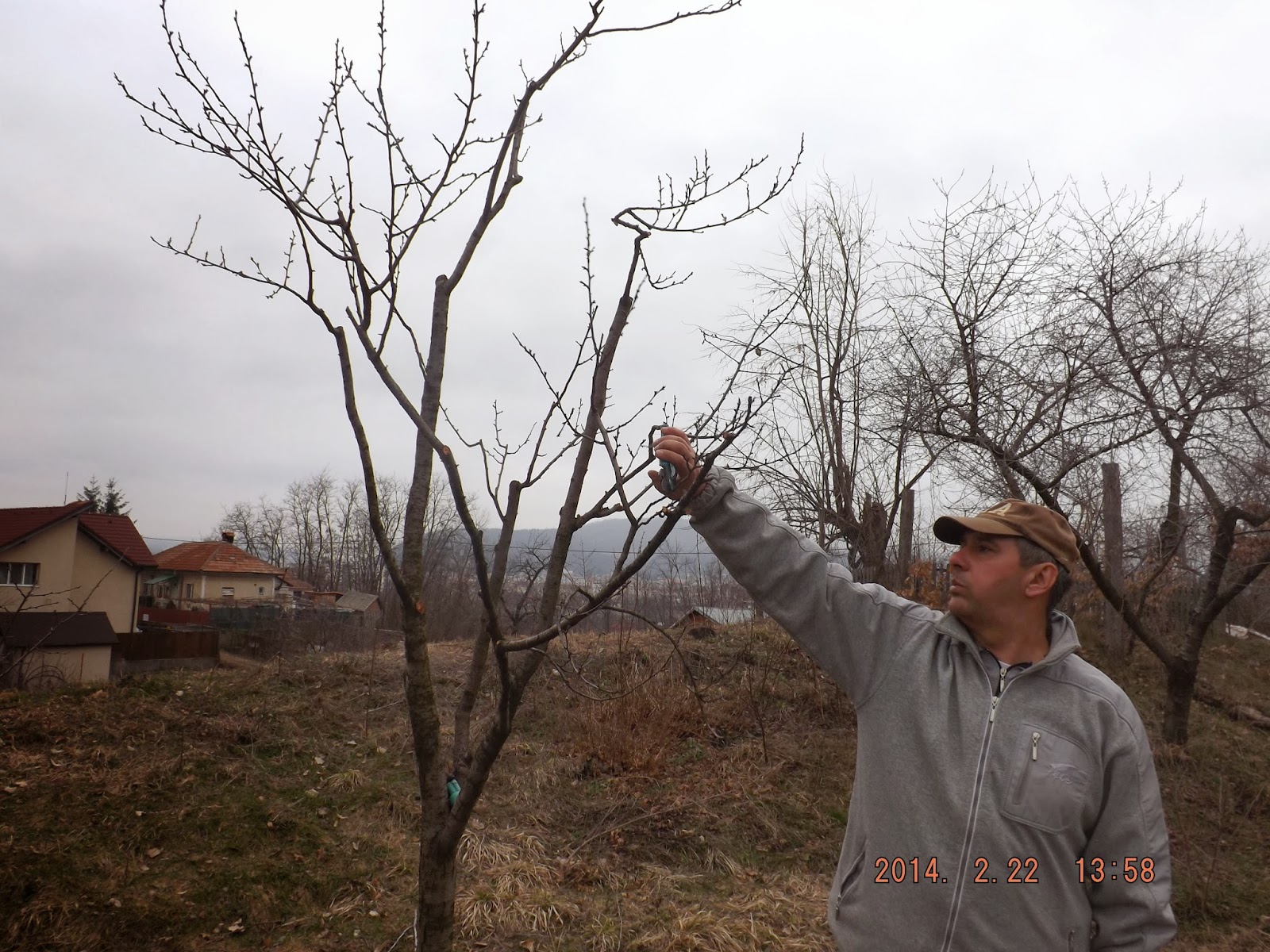 Gradinarit anotimp cu anotimp: Taieri de intretinere, taieri de ...