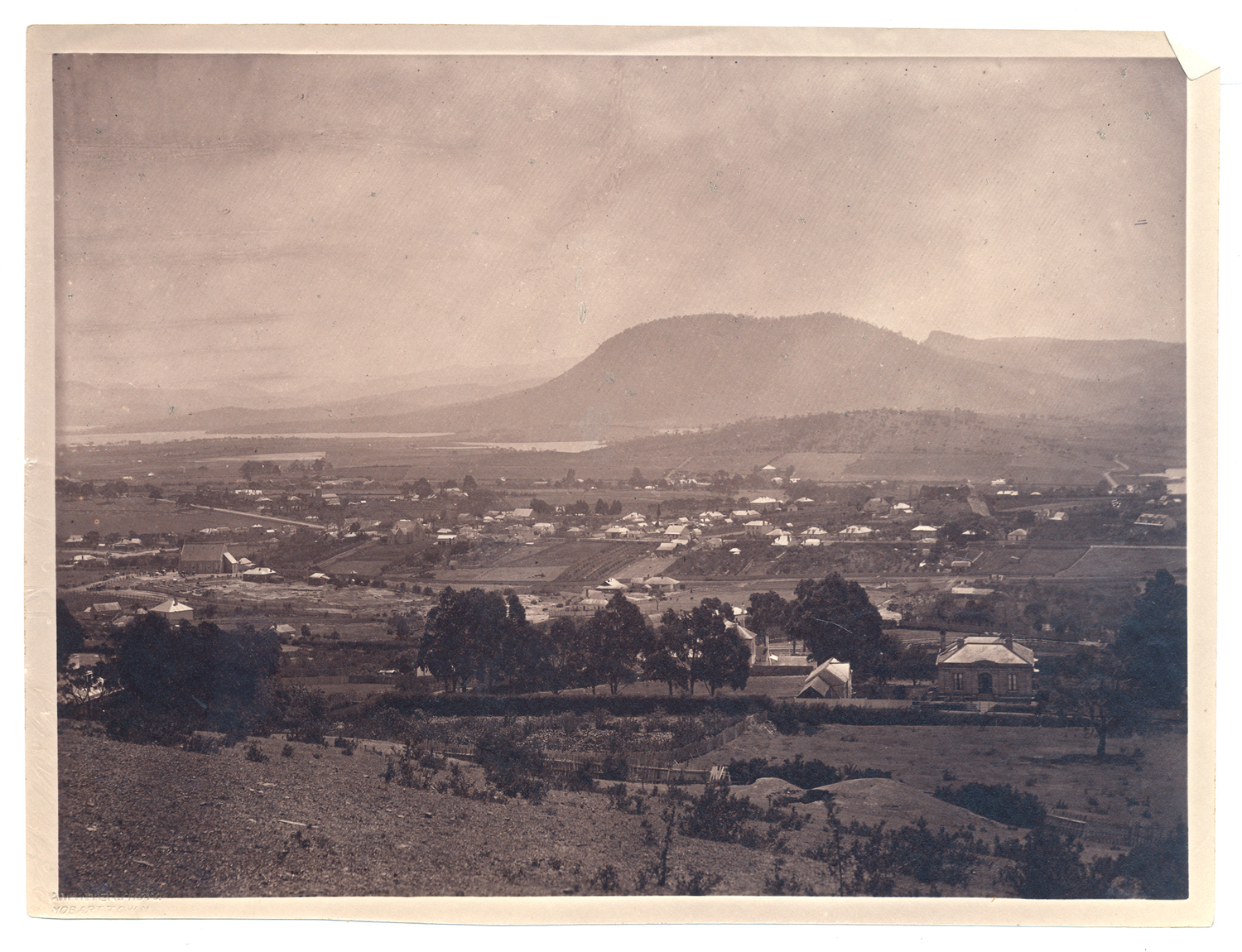 Thomas J. Nevin | Tasmanian Photographer: Captain Goldsmith's "private ...