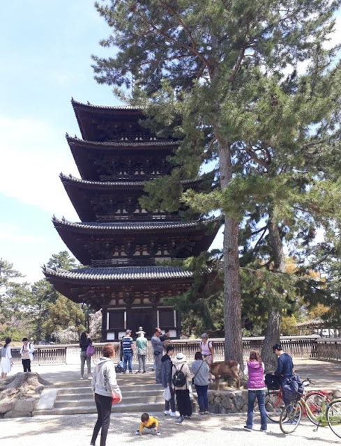 12 Tips when visiting Nara in Japan