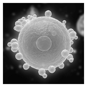 Philomeme: Ohhh! The Humanity (Part 2)