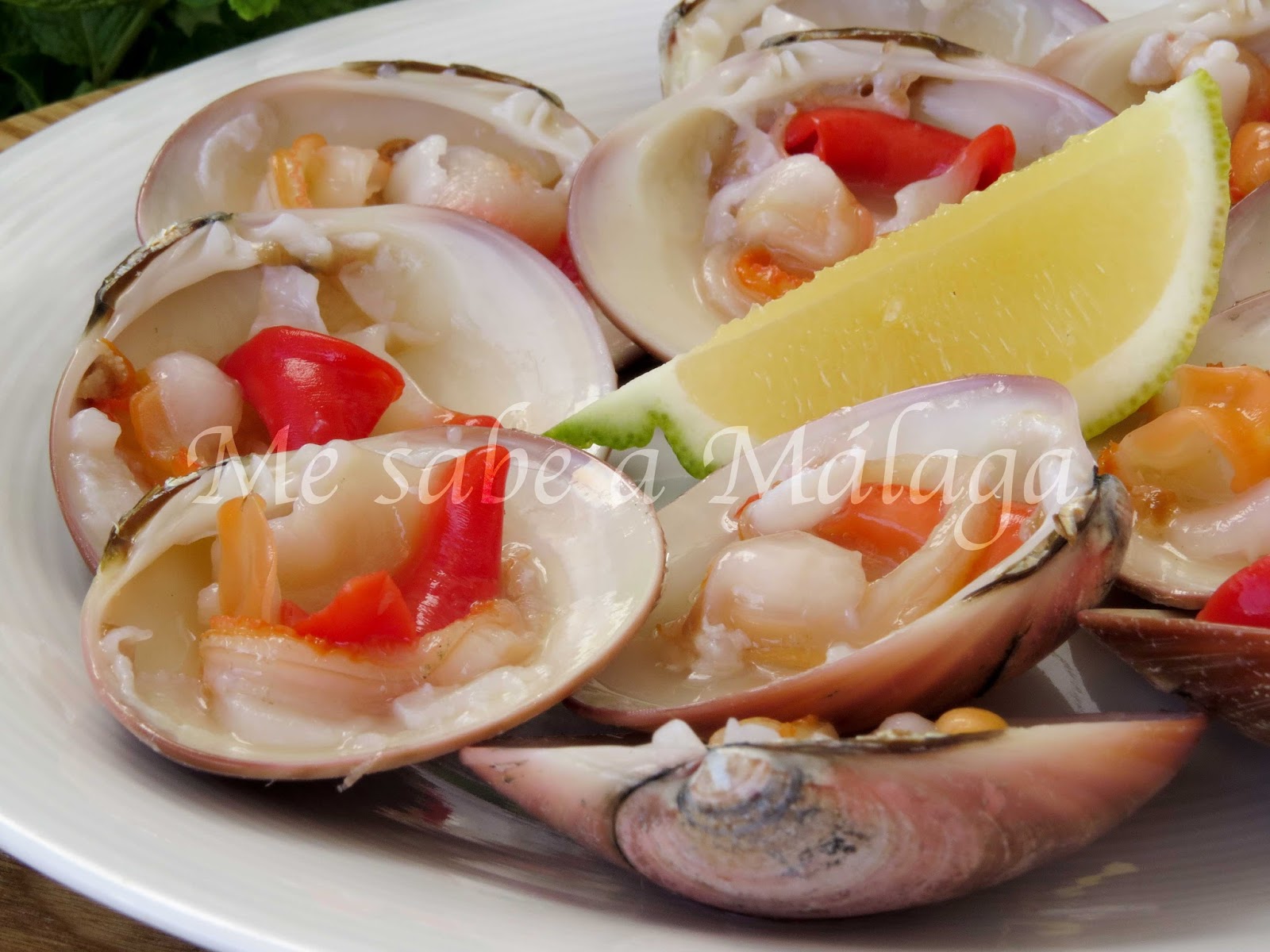 Me sabe a Málaga: Conchas finas al natural