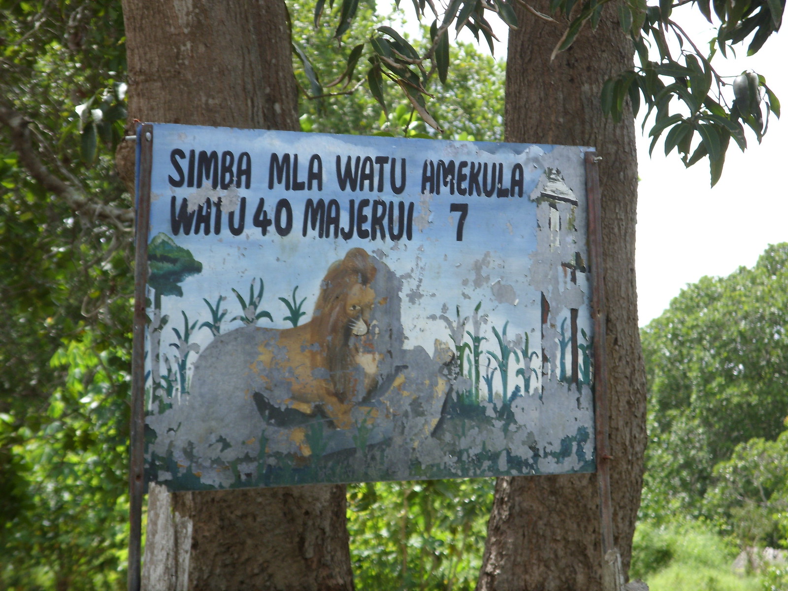 Selous Game Reserve