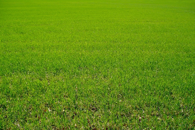 007 September 15, 2020