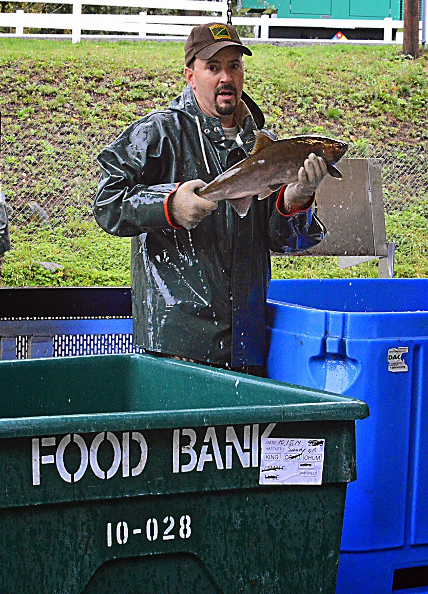 Coast Community News: ODFW donates 175 tons of salmon to Oregon’s food ...