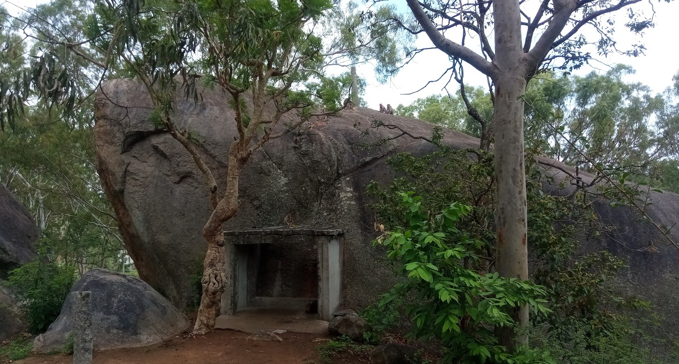 Drive + Trek - Devarayanadurga (DD hills)