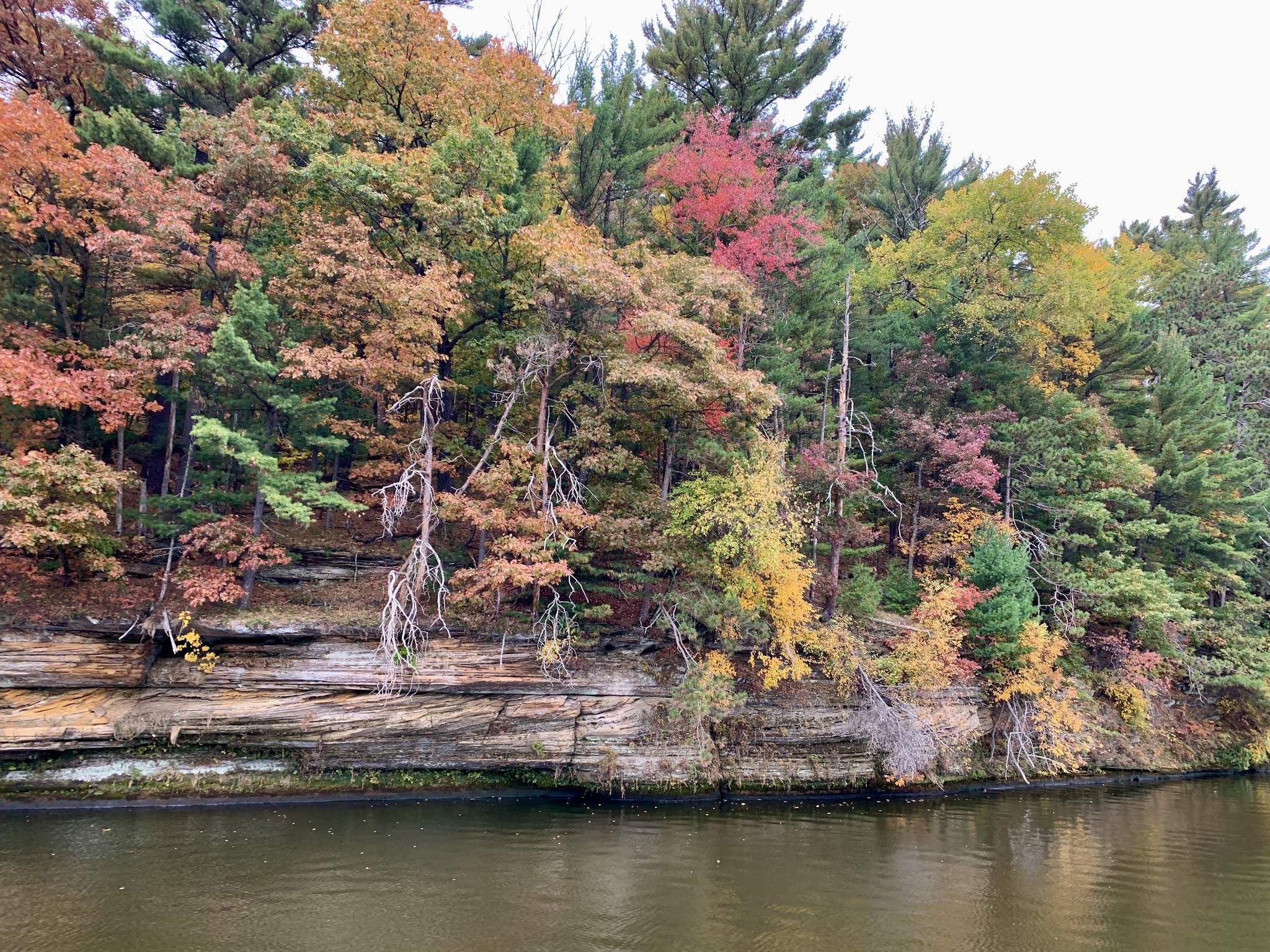 Amy's Creative Pursuits: A Fall Ride On The Upper Dells Boat Tour