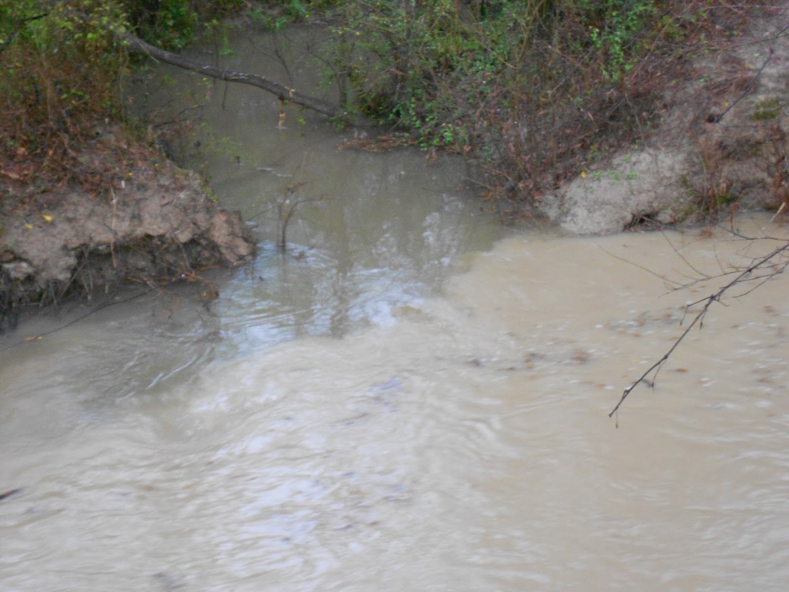A New Tool to Help Reduce Runoff Pollution - Eco Cajun