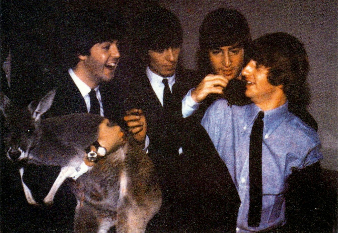 Meet the Beatles for Real: Beatles Wild Life