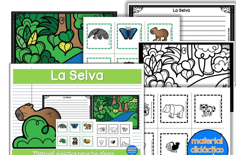 Los animales de la Selva - Material Didactico para tus clases