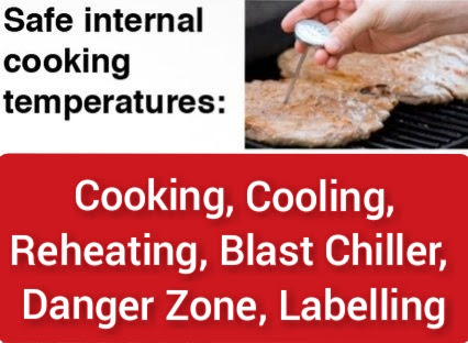 Cooking temperature chart Tuna temperature Baking Pizza reading in ...