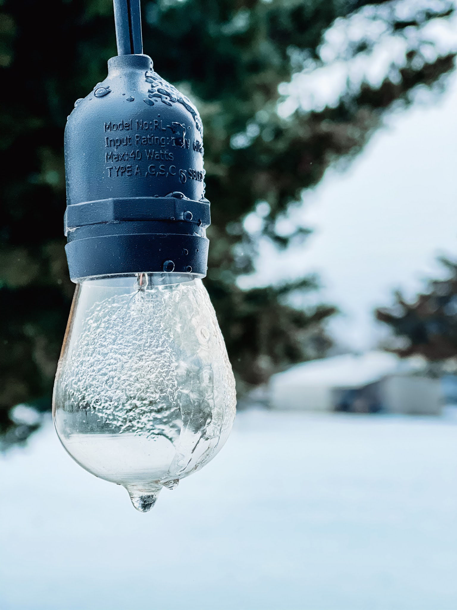 {Texas Snowpocalypse // 2021} - HALL AROUND TEXAS