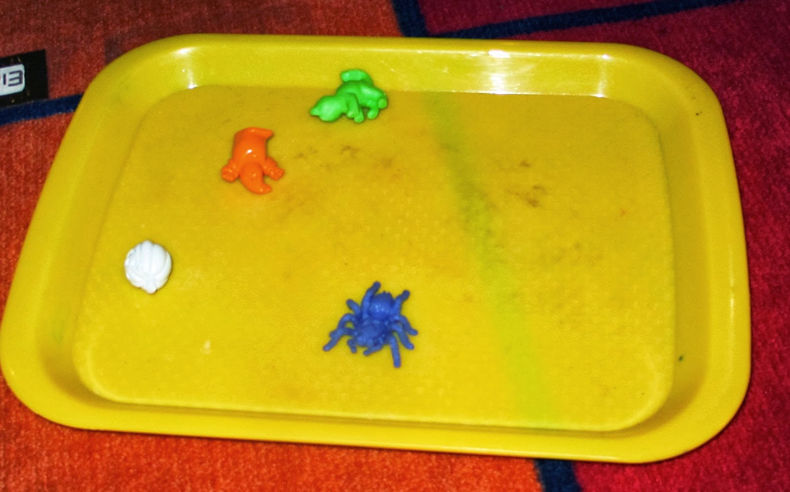 Memory Trays - Play to Learn