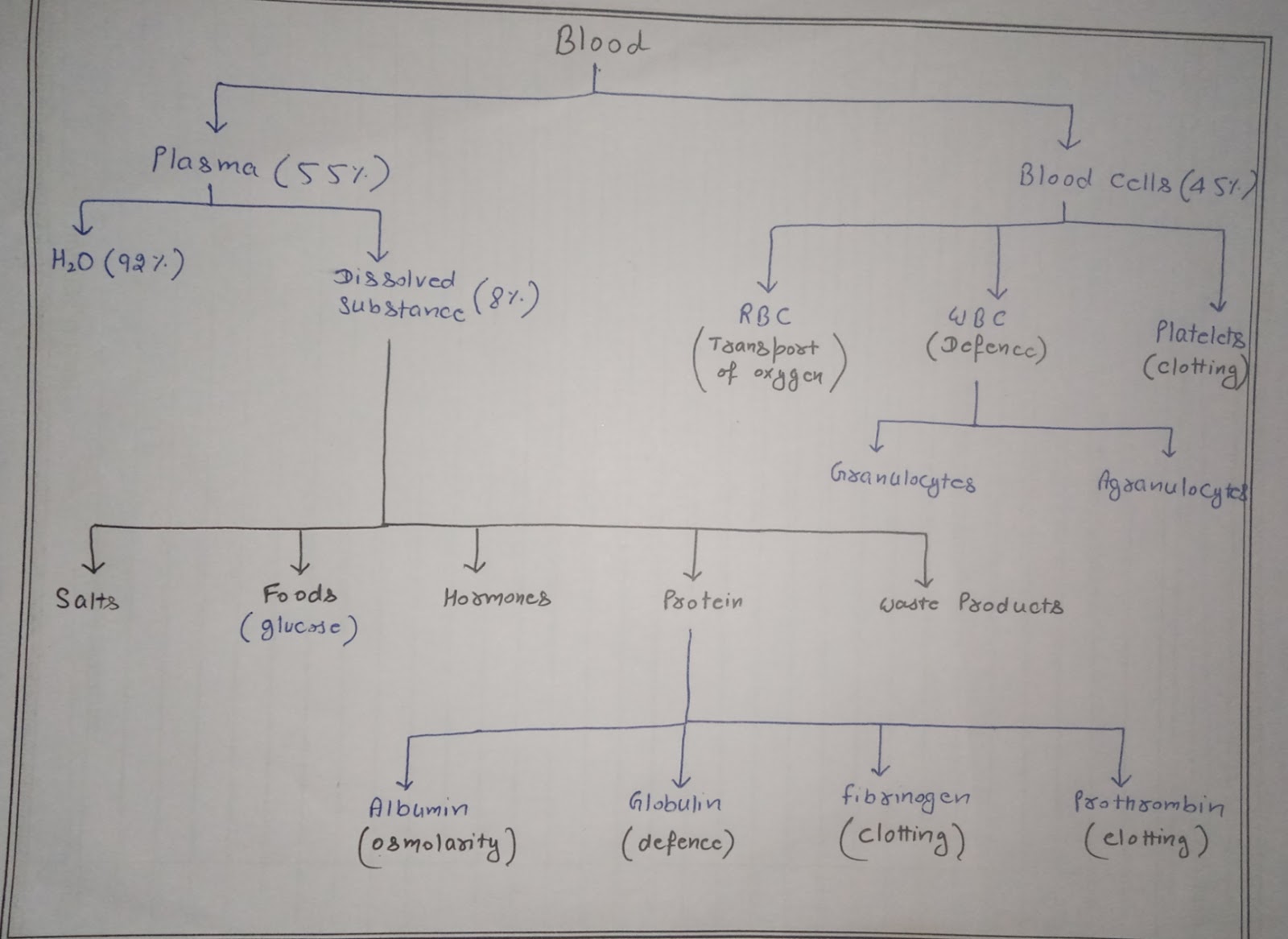 Composition and functions of blood | Human physiology