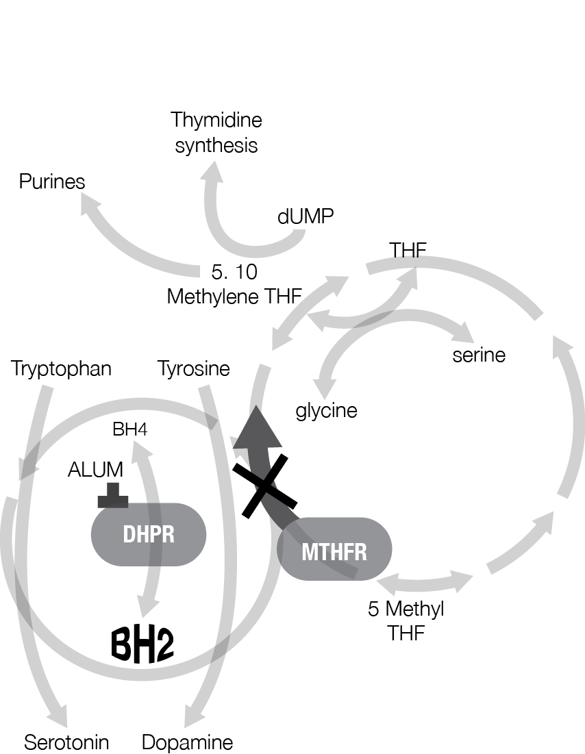 Health-Nutrition Blog: Part 5 Genetic Health Testing ...