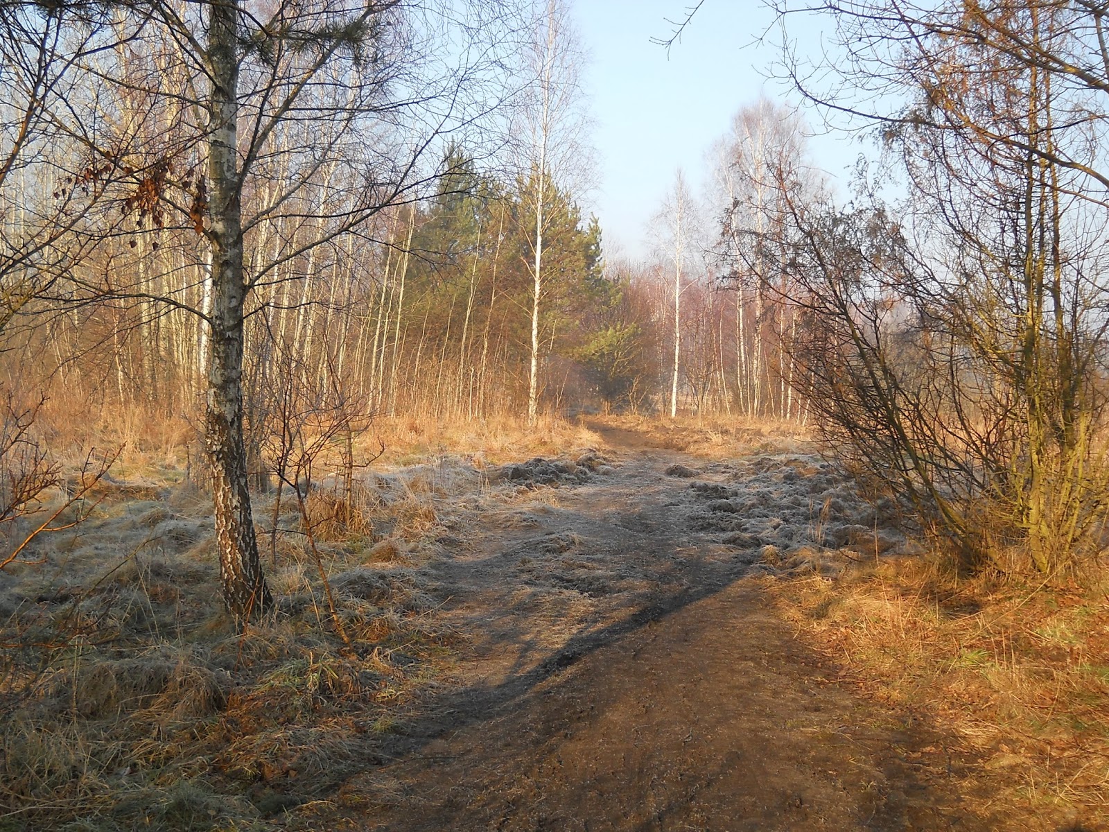 Slavic Landscapes