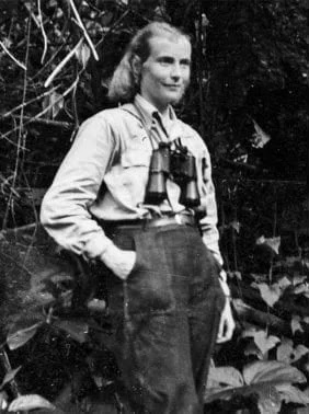 HISTORIAS ZOOLOGICAS: EL PIJUÍ DE ANCASH (Synallaxis zimmeri) Y EL ...