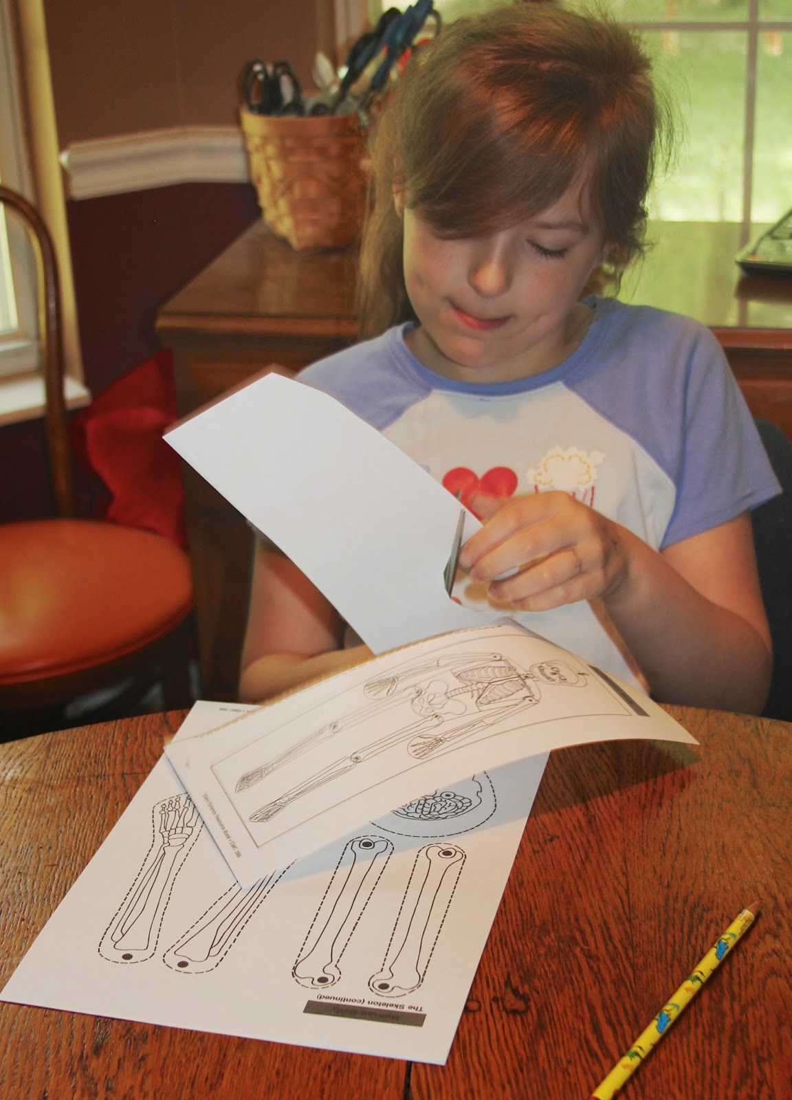 The Fantastic Five: Dem Bones, Dem Bones (Skeletal System Activities)