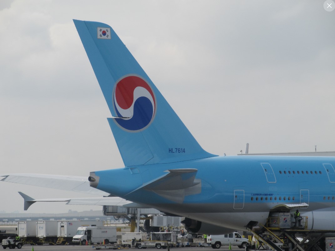 NOTÍCIAS E HISTÓRIAS SOBRE AVIAÇÃO: Como funciona o leme em um avião?