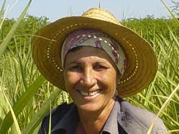 Del Vestir: El Sombrero de Yarey