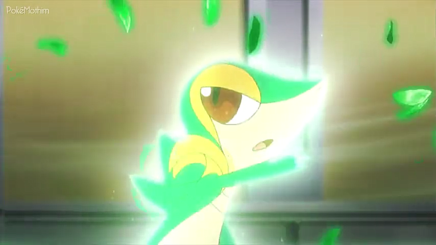 Poké-Arquivo: 495 - Snivy ~ PMD || Acervo de Imagens de Digimon e ...