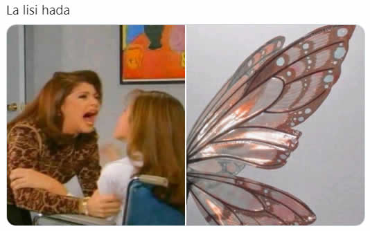 Mejores Memes de Personajes con Alas de HADA