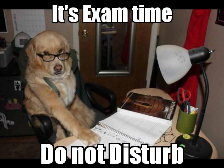 Examination Meme Quotes