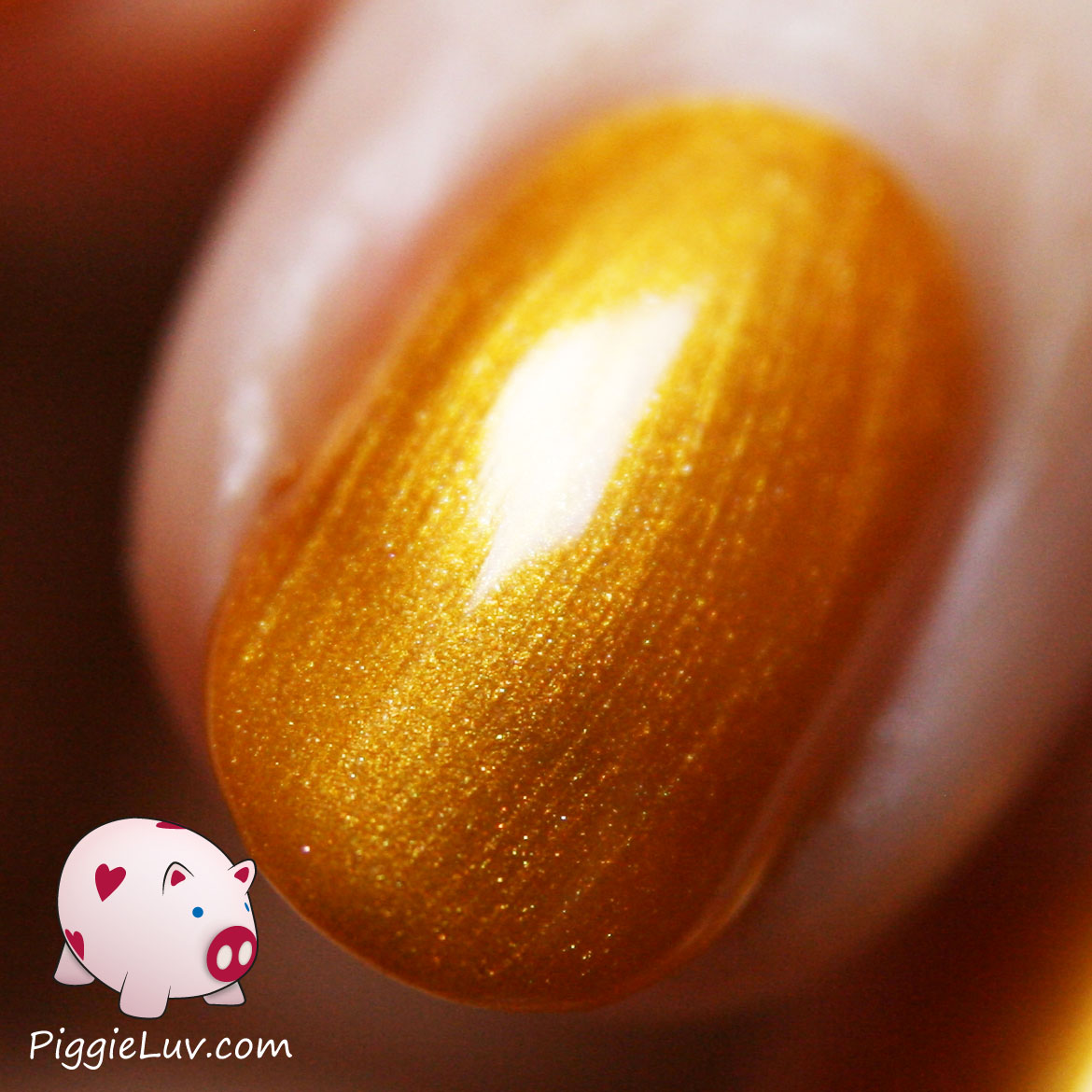 PiggieLuv: Amazing Chic Nails - Autumn collection