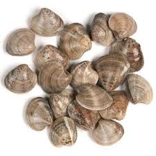 MercaCórdoba: La chirla en Agosto, para comérsela!!!!!