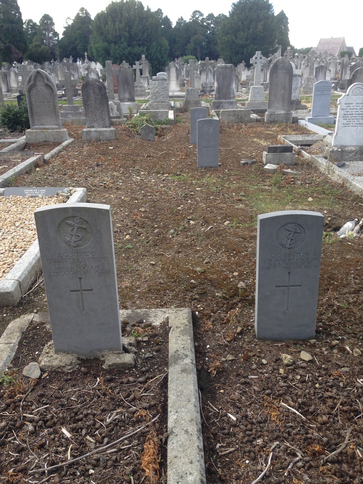 Careful With That Axe, Eugene: Deansgrange Cemetery World War I Graves Tour