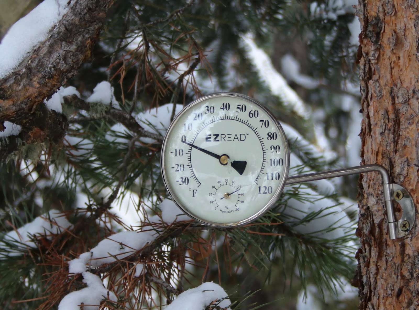 Fy Nyth...: Winter Crystals